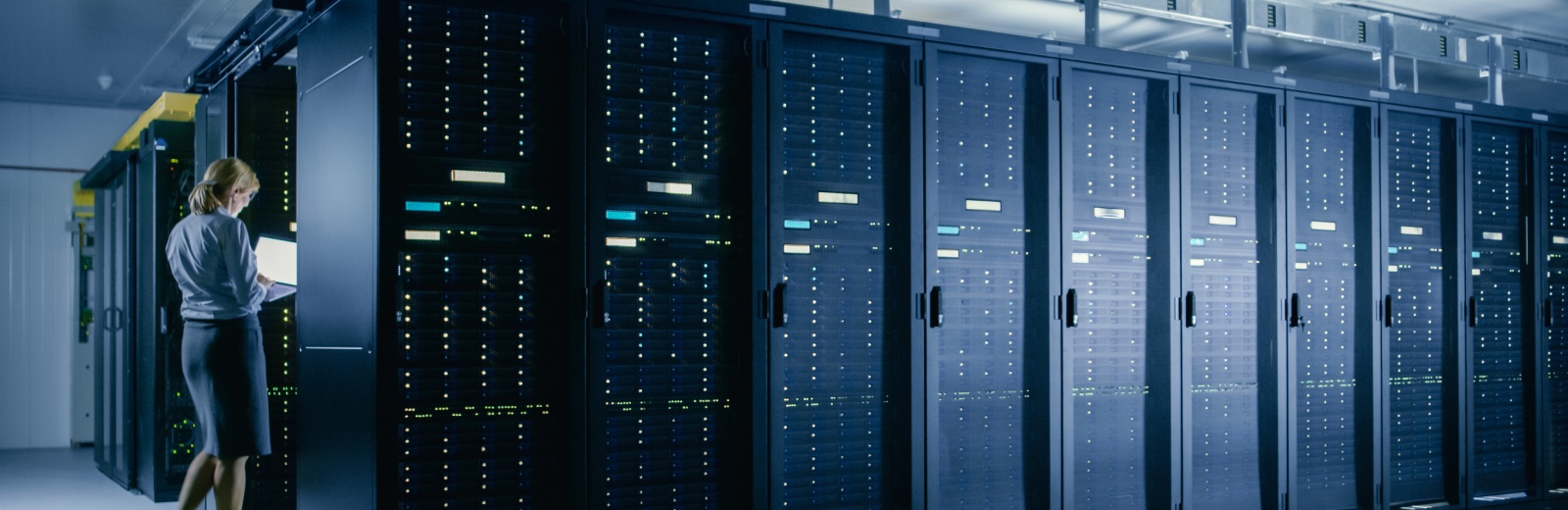 Virtualization Services - Streamline Multiple IT Operations